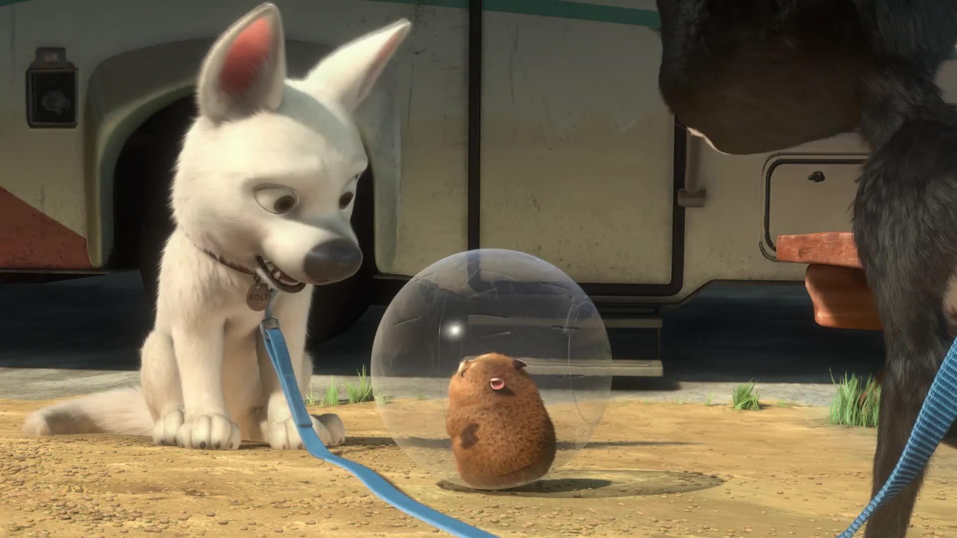 Disney Bolt Quotes Bolt | Fictional Characters Wiki | Fandom