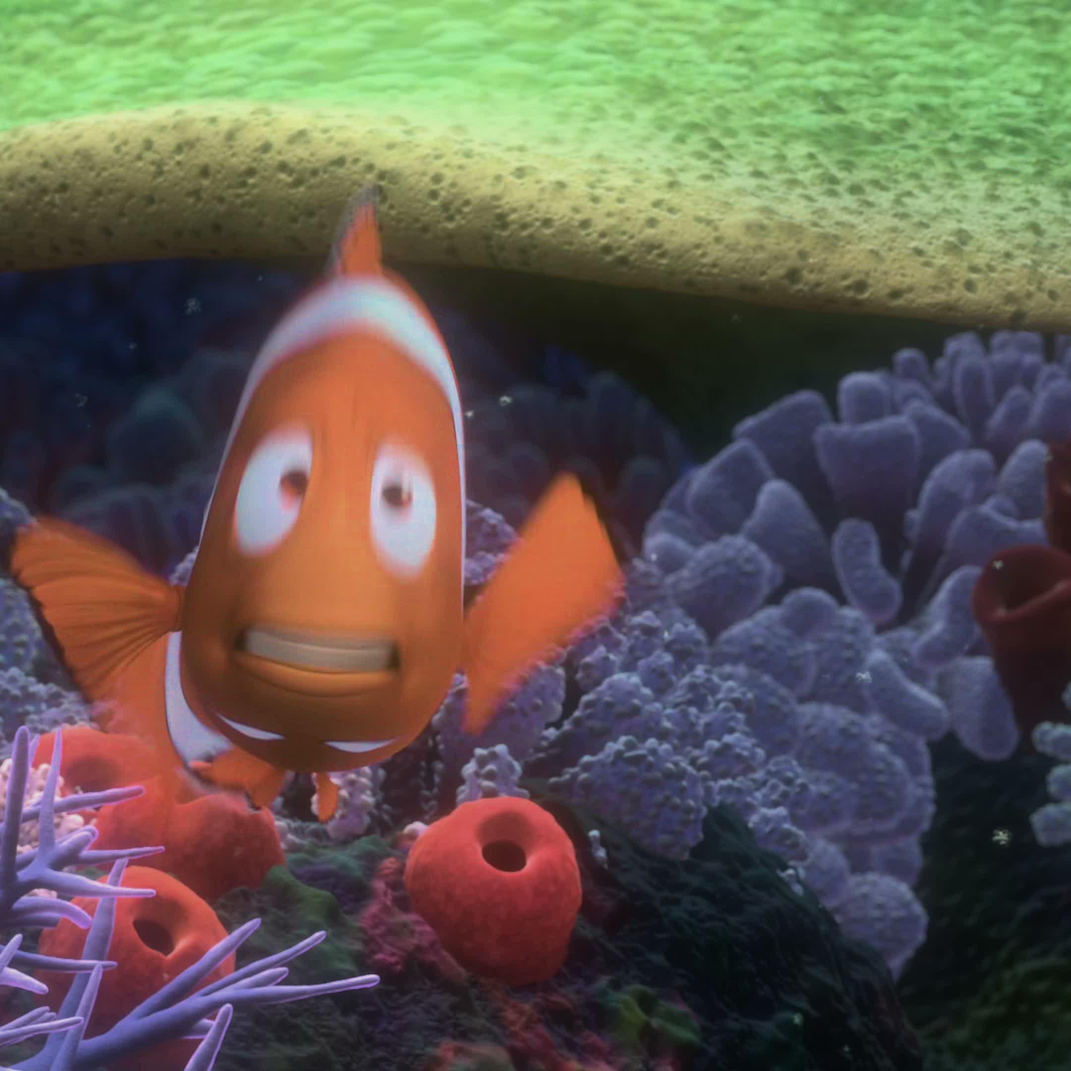 Finding Nemo Touching The Boat Nemo Touching The Boat GIFs | Tenor