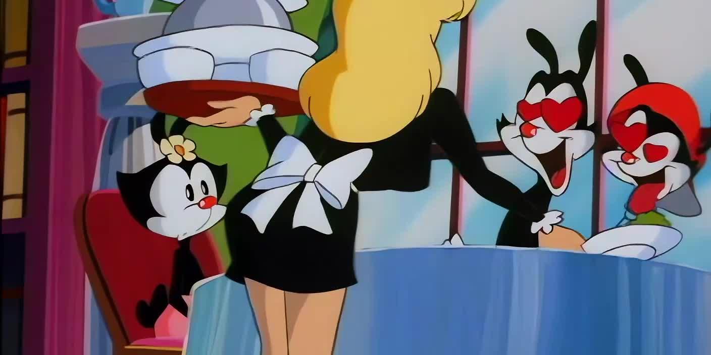 Animaniacs Hello Nurse Gif