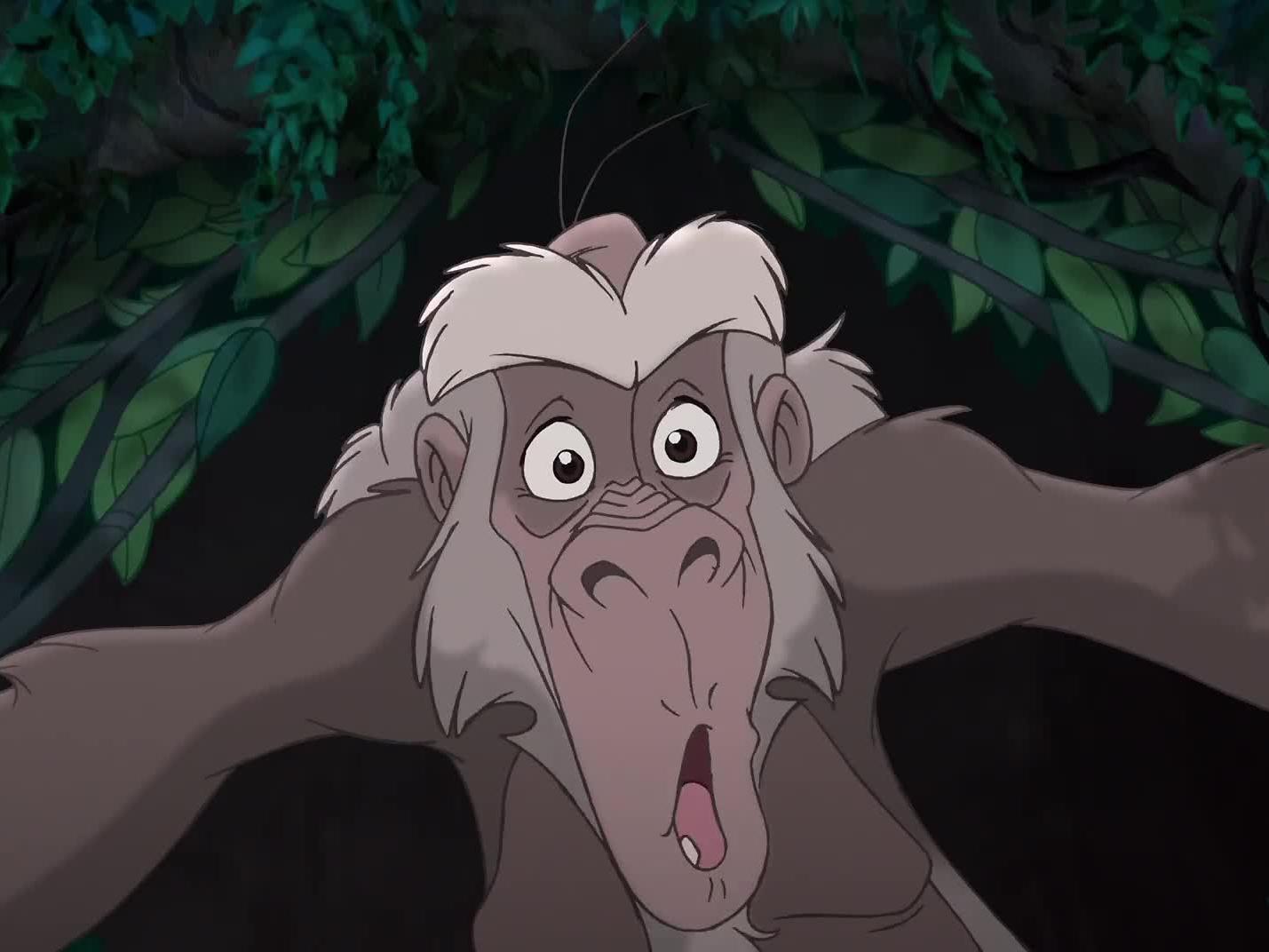 Tarzan 2 Zugor