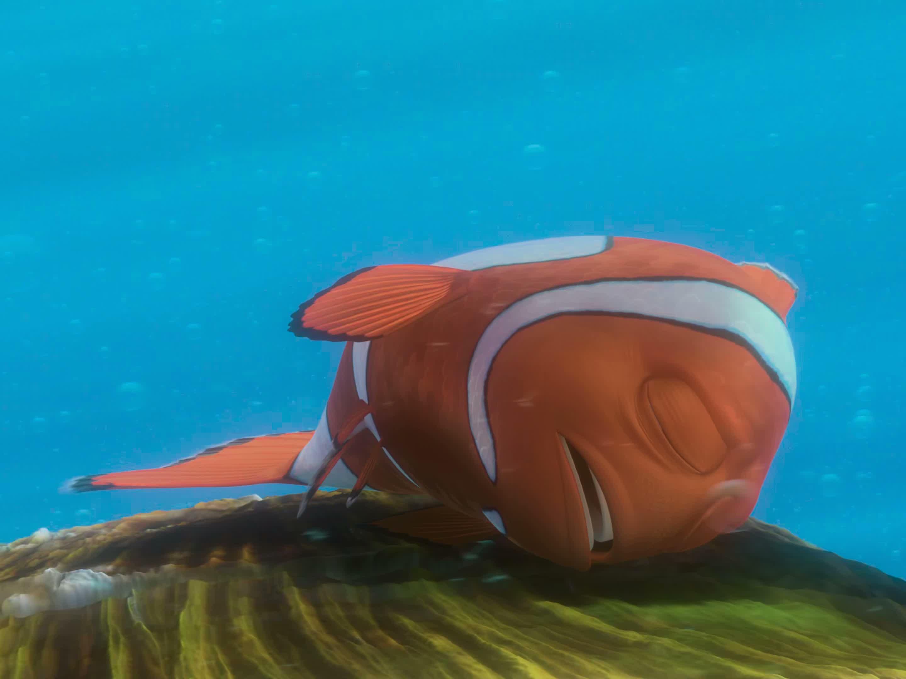 Dude Nemo Quotes