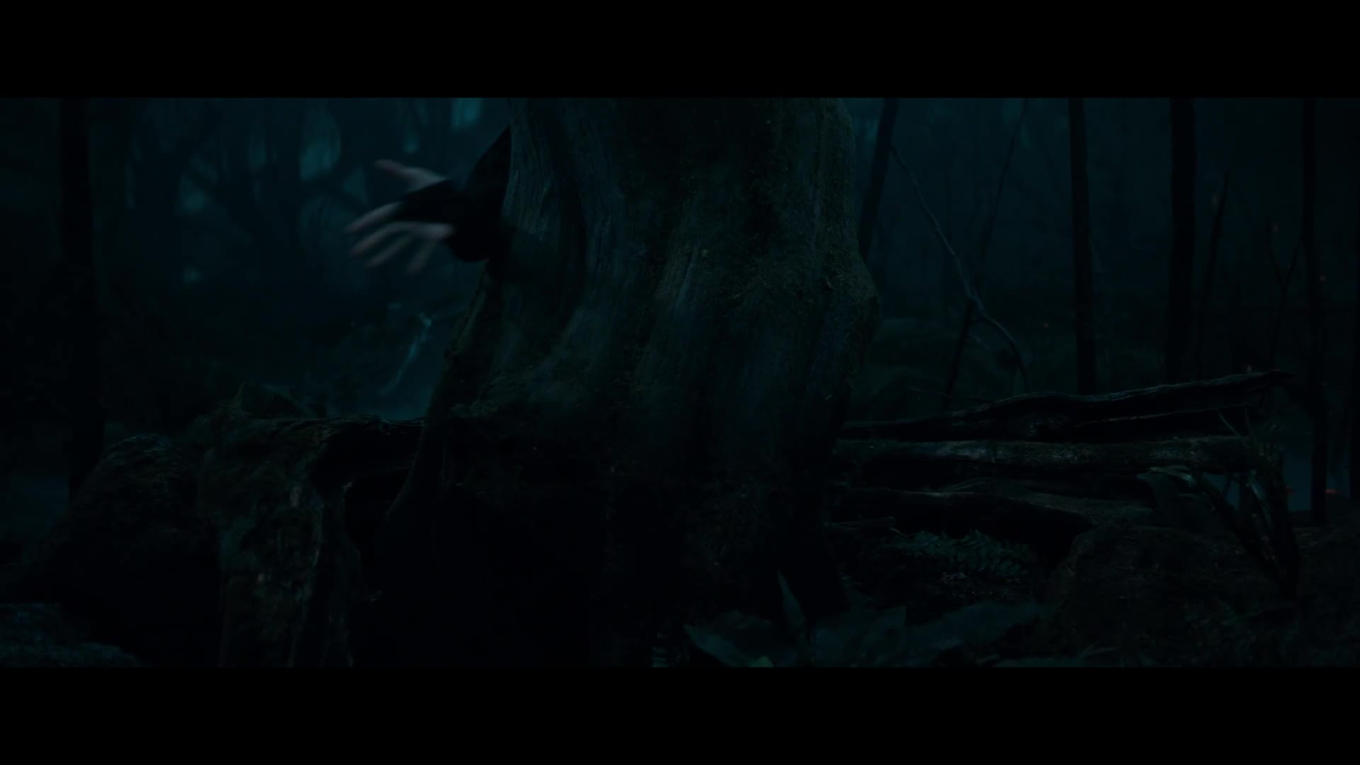 Agatha Harkness. Find her. Agatha! Find her. Find them. Agatha Harkness ...