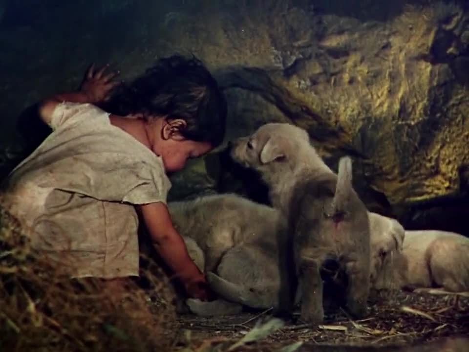 Ahai. He felt just as much at home with the cubsas at his mother's side ...