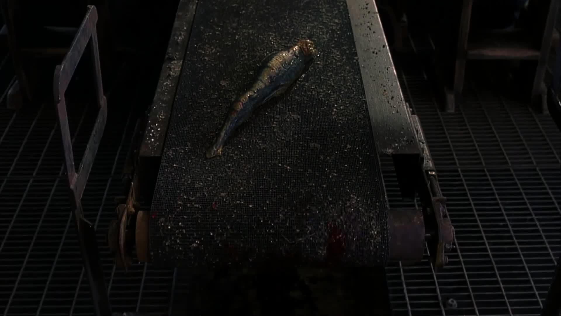 "And you, you are new to Trout Farm? Yeah... yes I'm... I'm very new ...