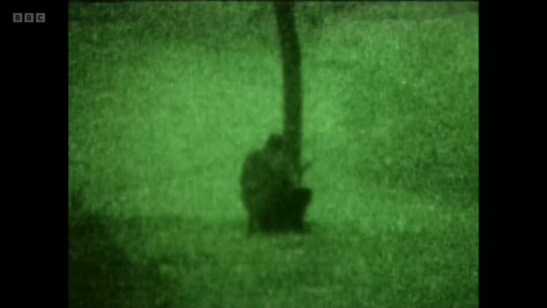 As dawn broke on March 5th, 1998, Jashari and the KLA launchedan attack ...