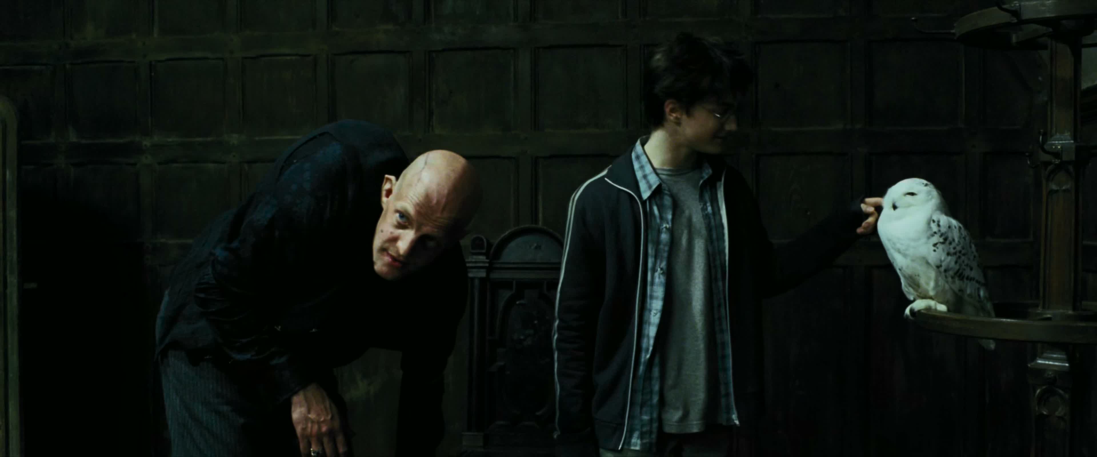 "As the Minister of Magic, it is my duty to inform you, Mr. Potter ...