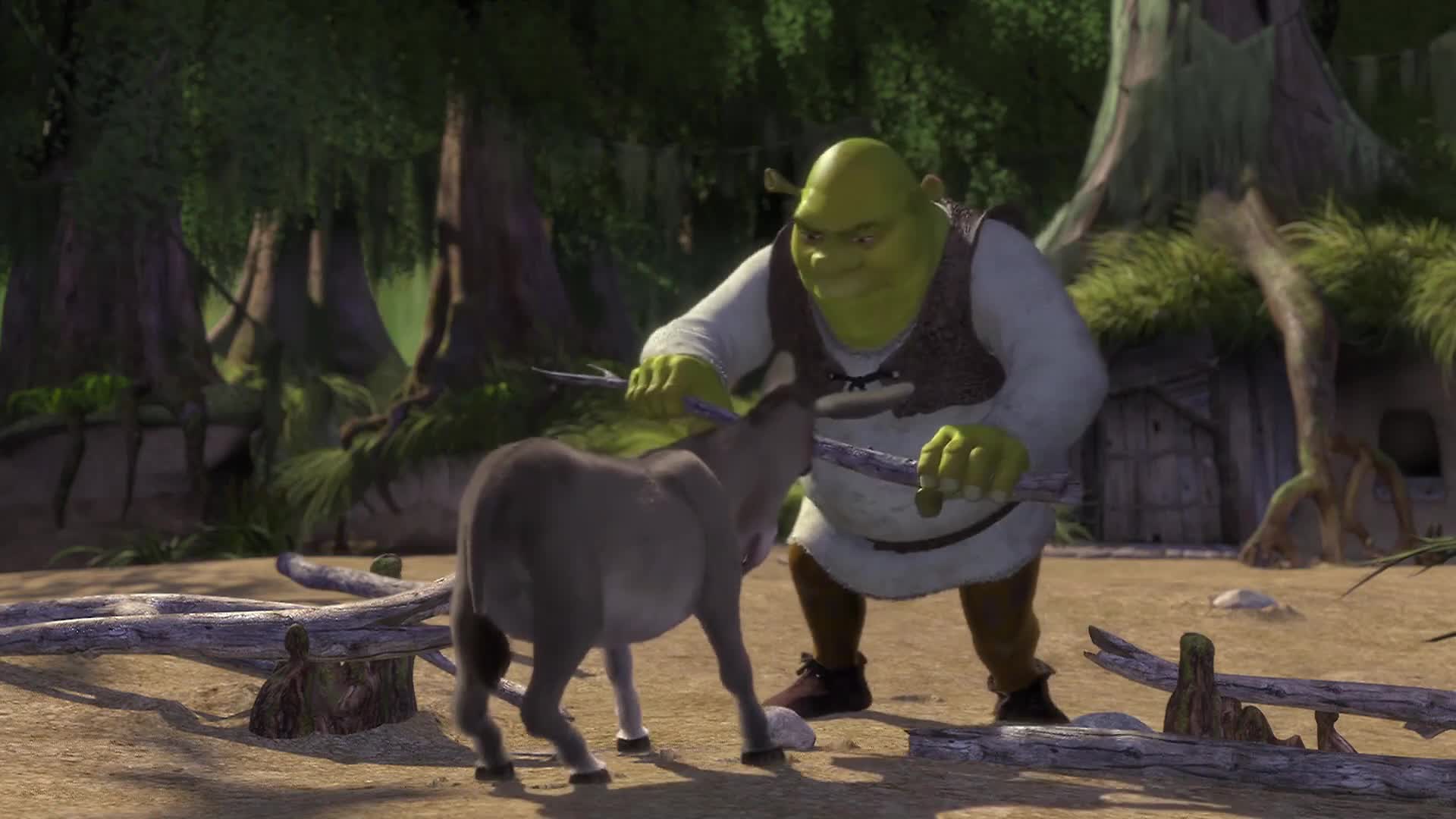 Back off! YOU back off! This is MY swamp! OUR swamp! Let go, Donkey ...