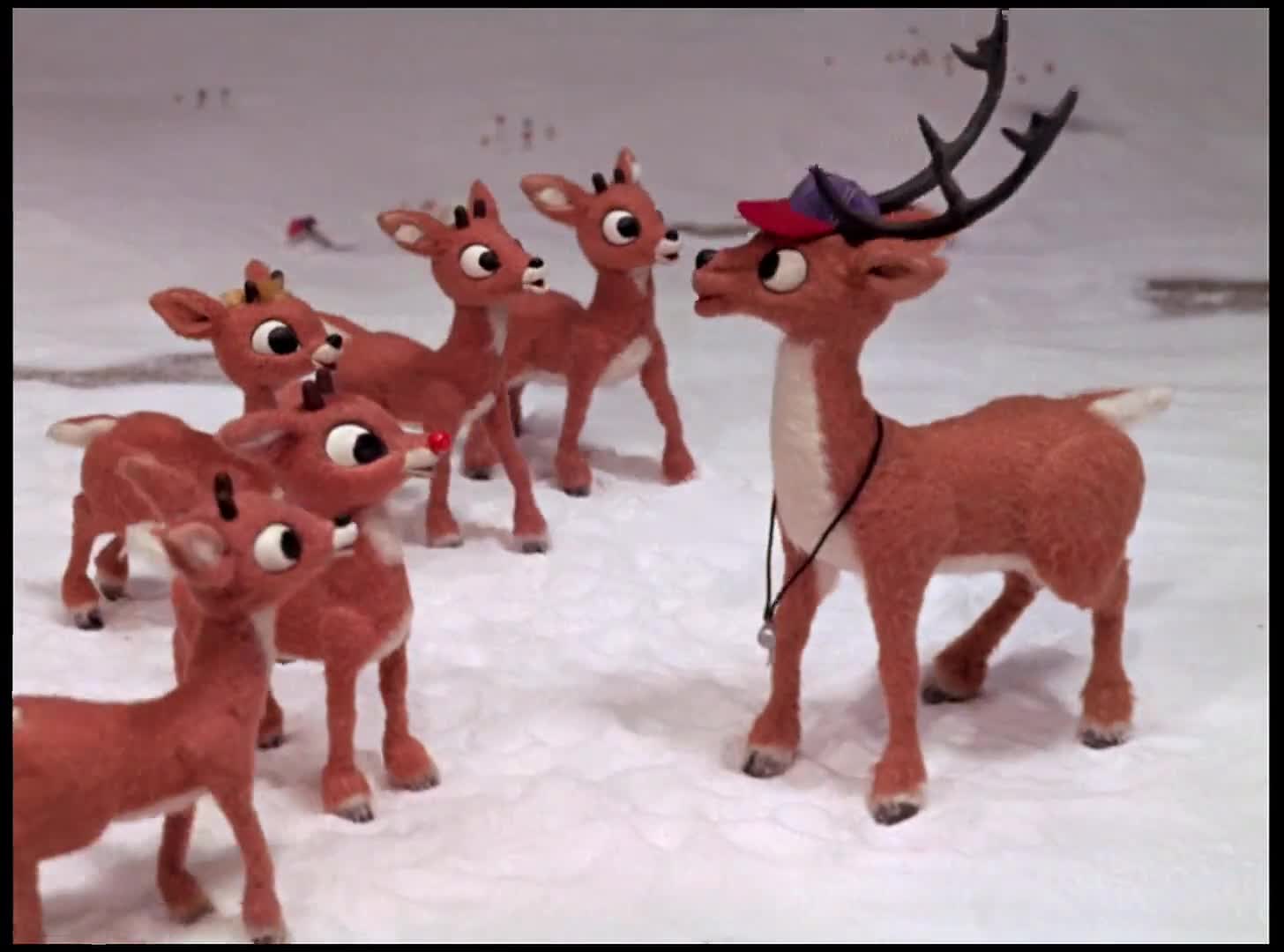 All right, all right, my yearlings, back to practice. Oh no, not you ...