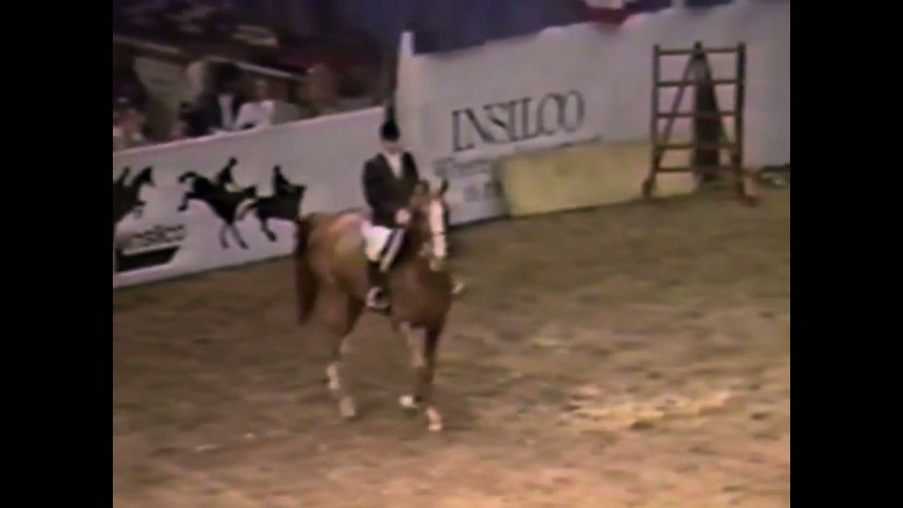 "Barney Wardand Pico return victorious! That's when I first saw him ...