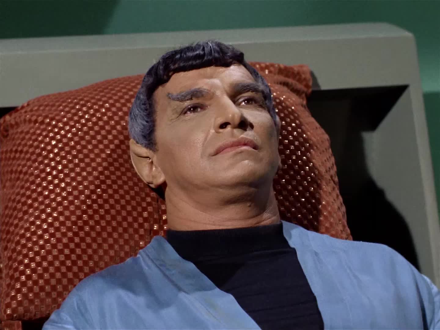 "Bones... ...Sarek will die without that operation. And you can't ...