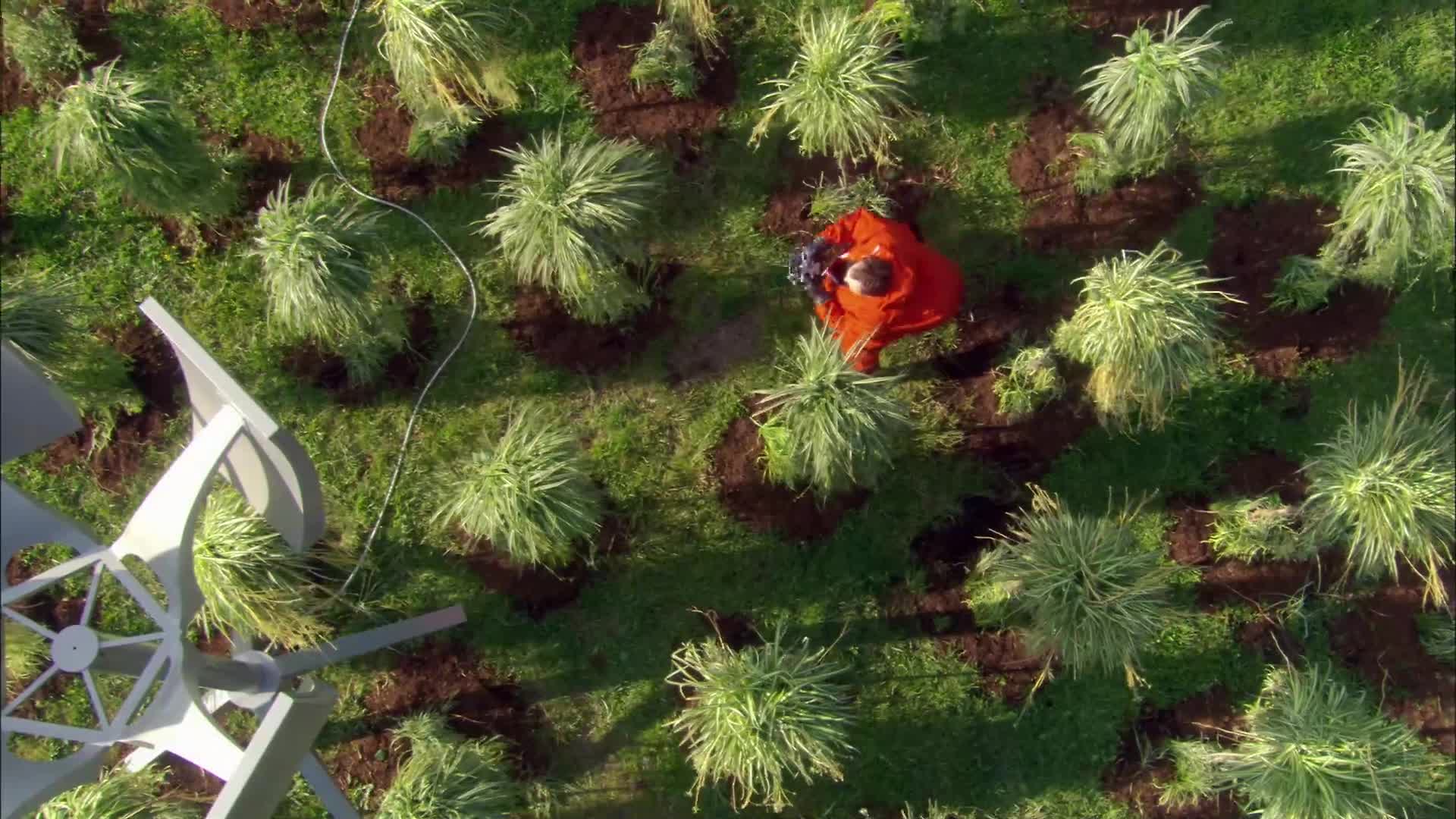 * Bum ba dum bum bumBum ba dum bum * - Eureka | Clip.Cafe