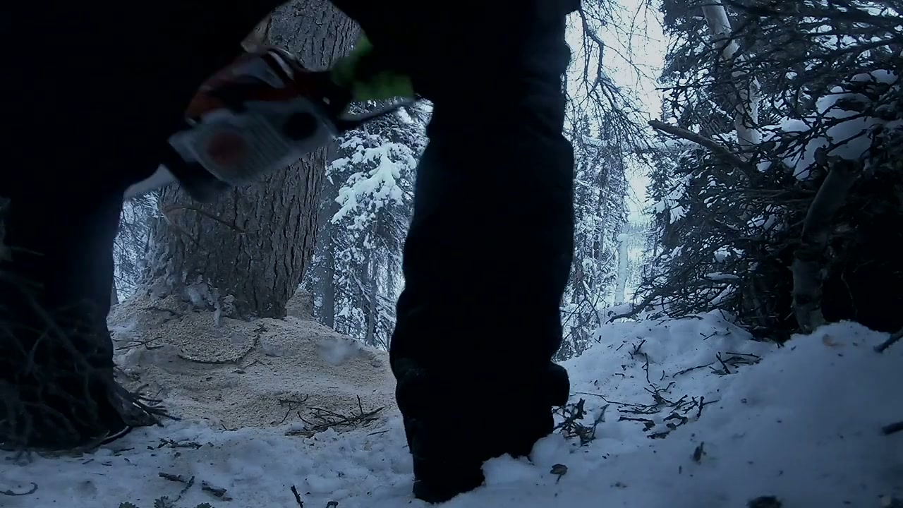 Watch out Jess!It's about to go! - Life Below Zero: Next Generation ...
