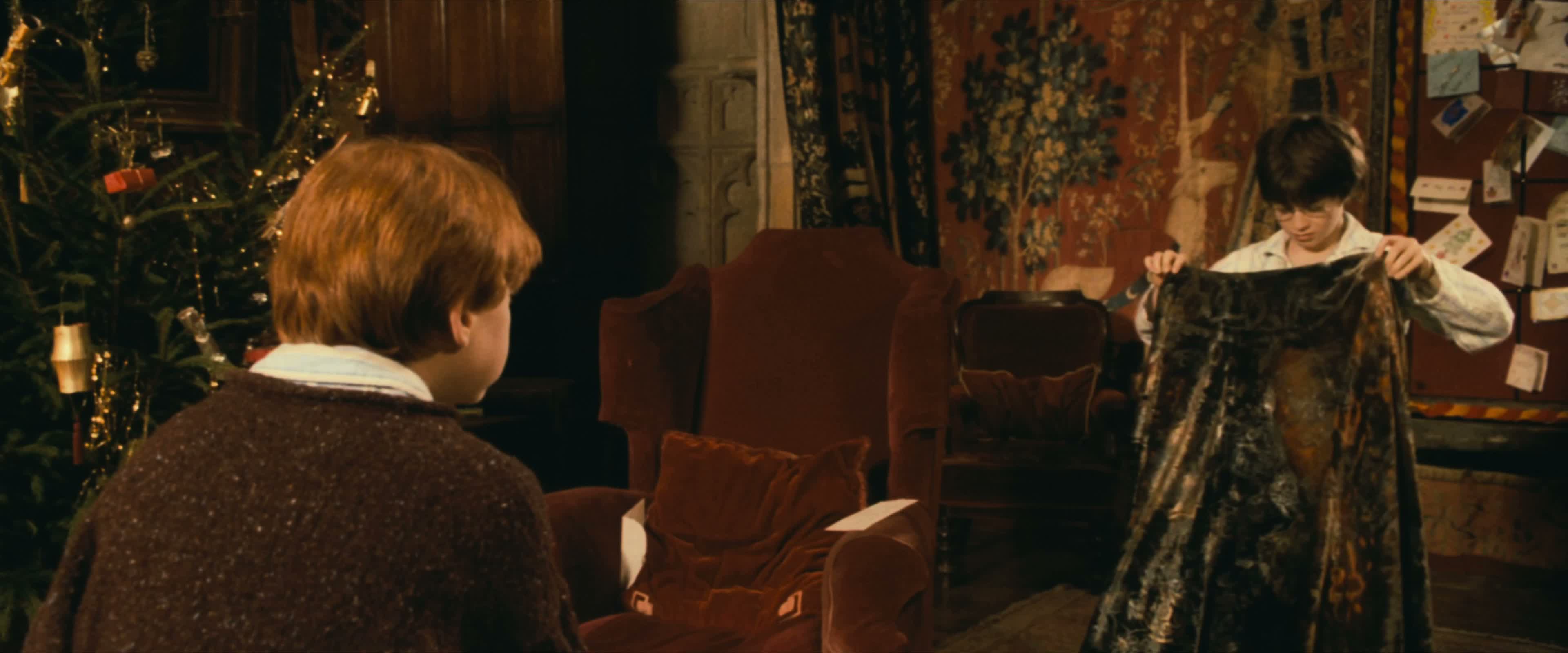 Codswallop. Professor Snape is a Hogwarts teacher. - Harry Potter and ...