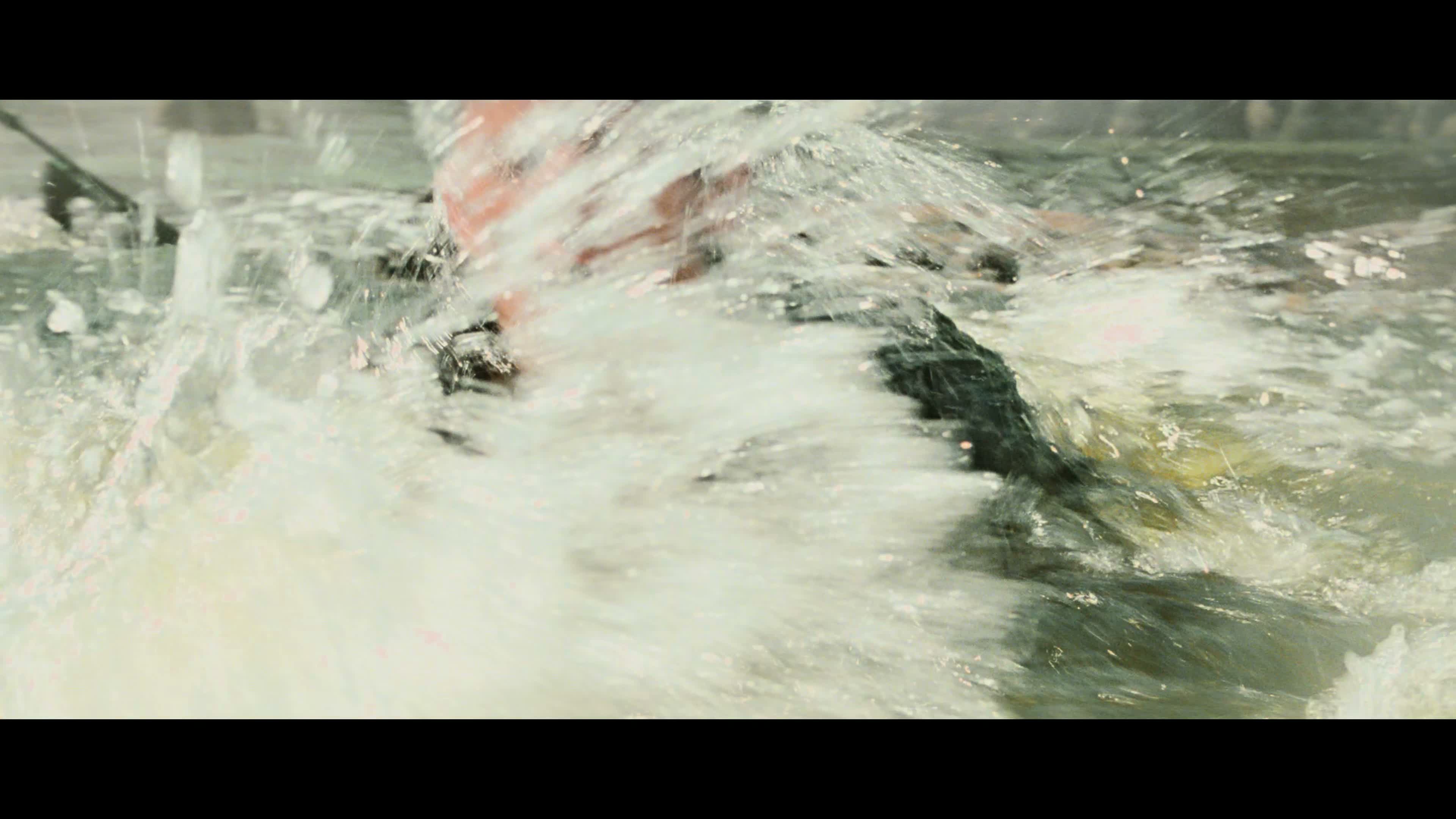 "Come on. Getthem out of there! Preston!" - King Kong quote