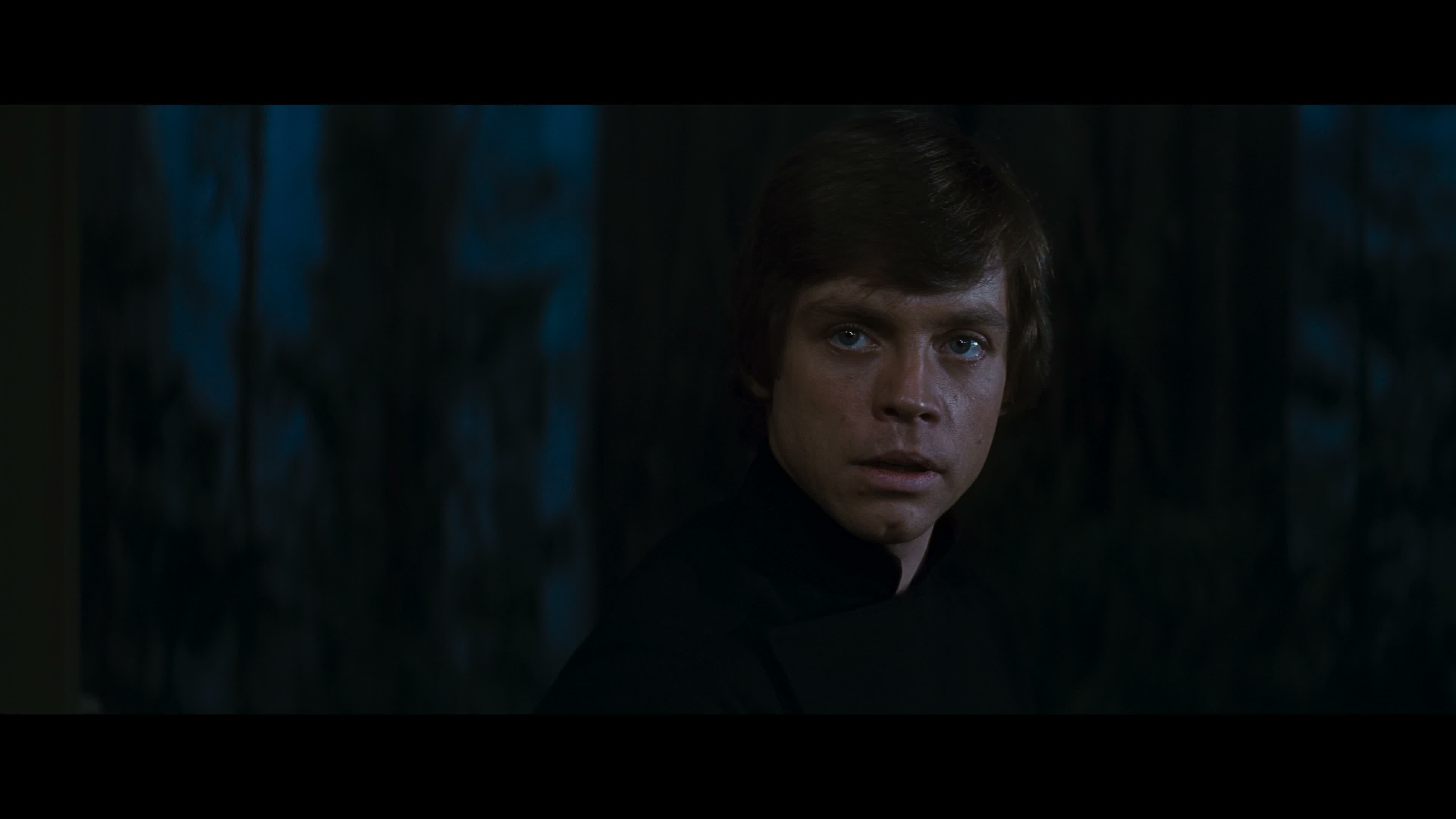 Come with me. Obi-Wan once thought as you do. You don't knowthe power ...