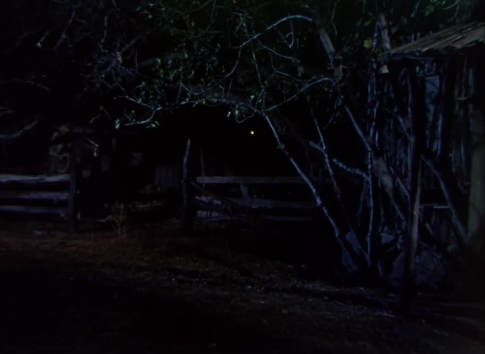 "Corporal! Corporal of the guard!Over here! On the double! Corporal ...
