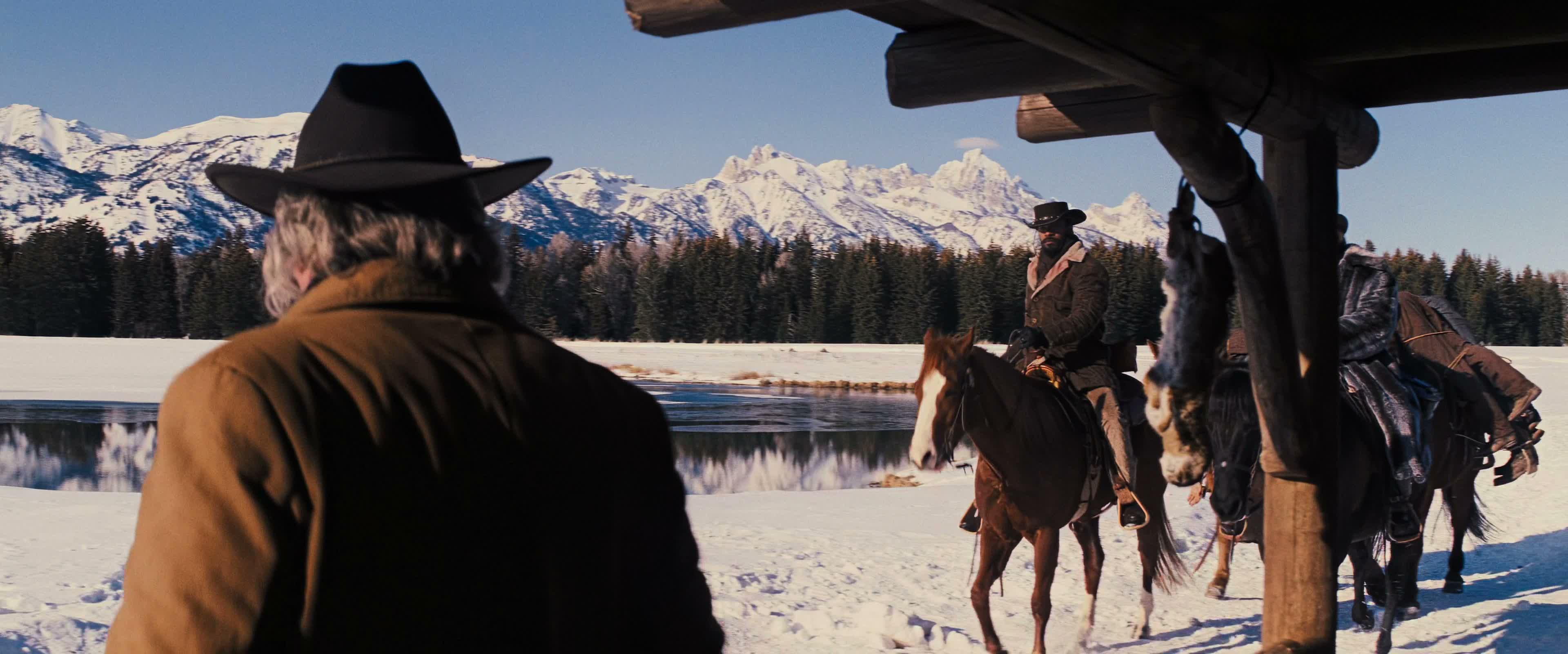 "Doctor, Django, how the hell are you?" - Django Unchained quote