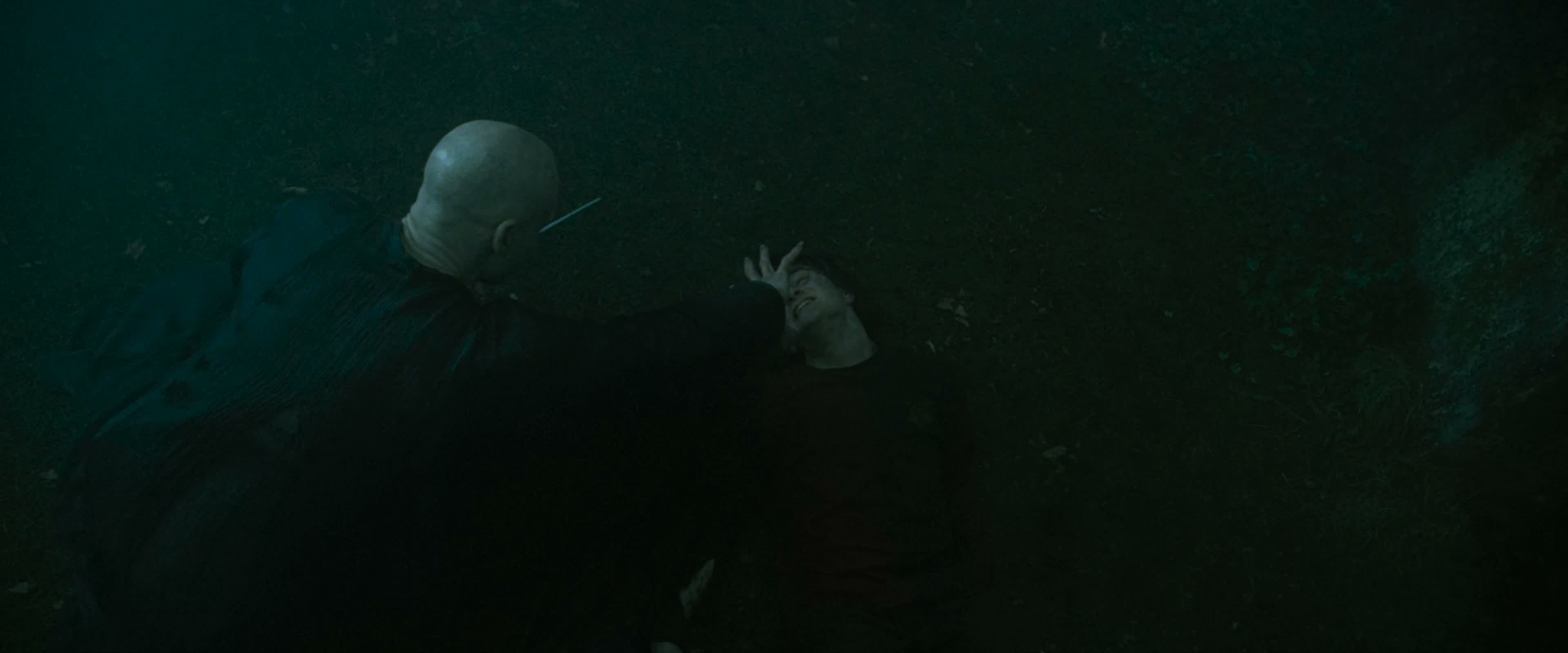 Don't you turn your back on me,Harry Potter! - Harry Potter and the ...