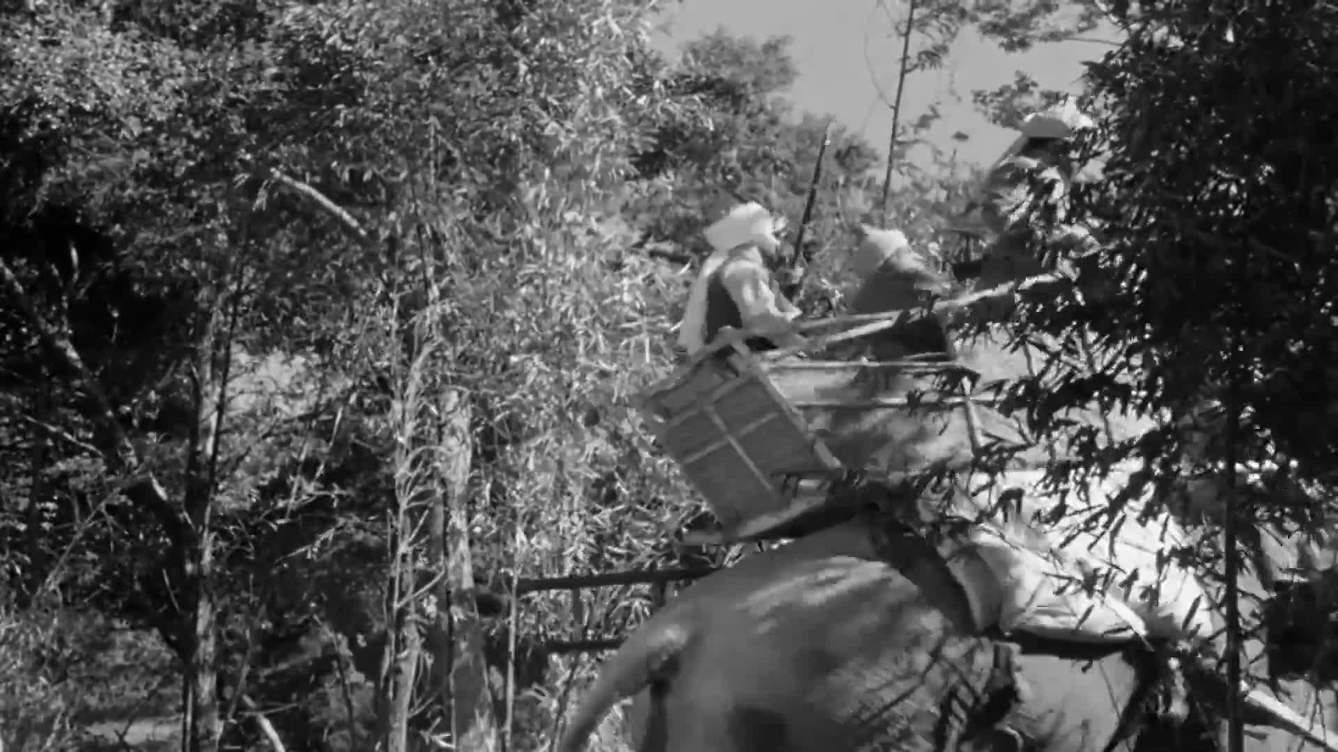 FINE SHOT, SIR. EXCELLENT MARKSMANSHIP, SIR. - The Charge of the Light ...