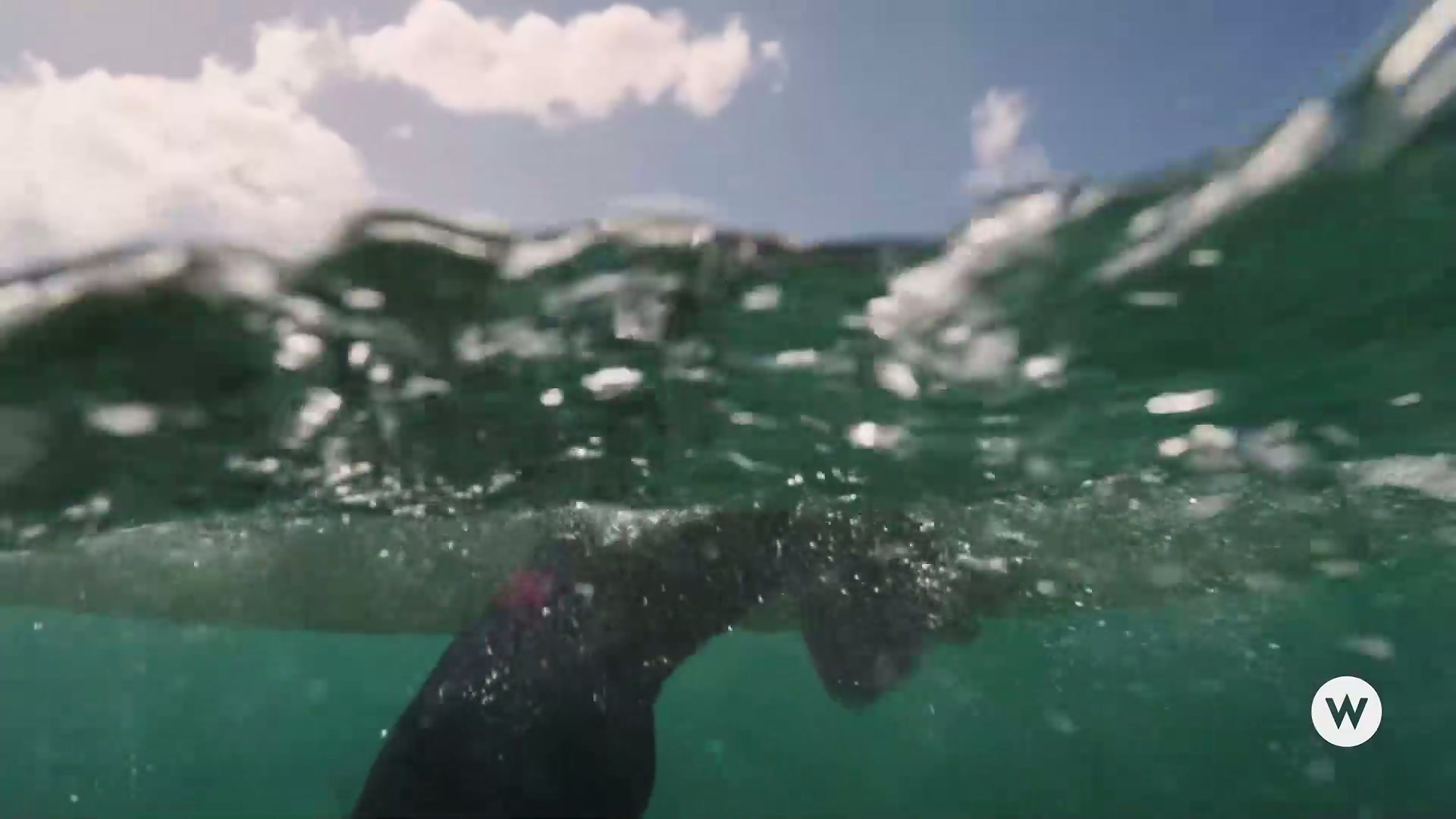 God, keep my head above water. - Groundswell | Clip.Cafe
