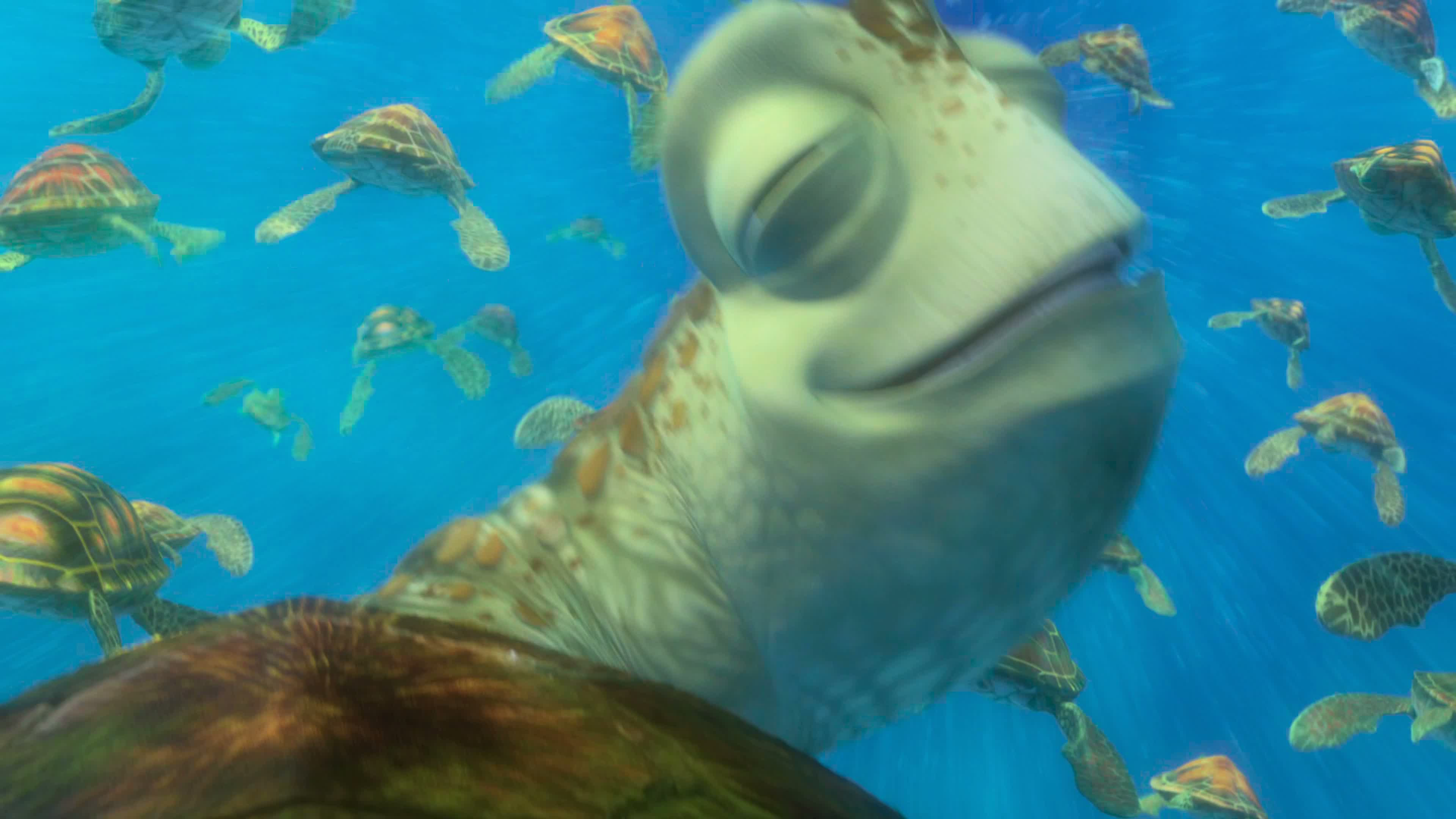 Good afternoon. We're going to havea great jump today. - Finding Nemo ...