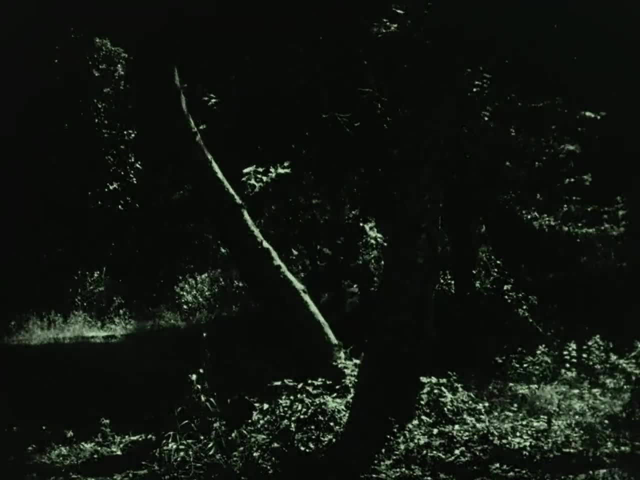 Good my lord...poor Lady Marian...it was on this very spot... here... a ...