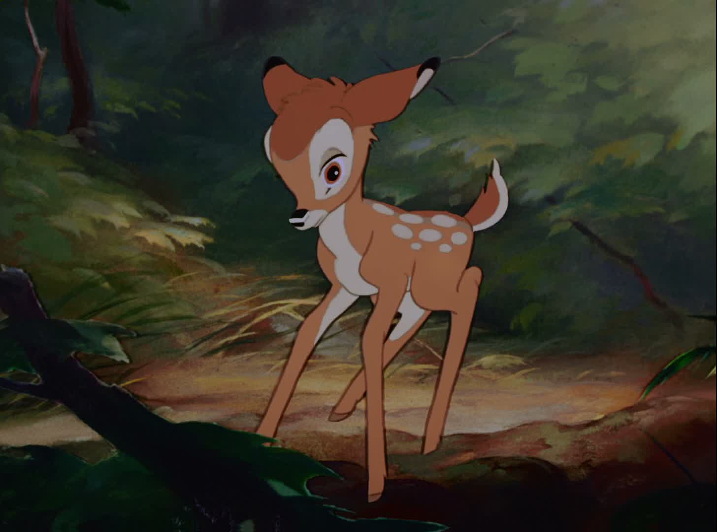 Good morning. Nice sunny day. - Bambi | Clip.Cafe
