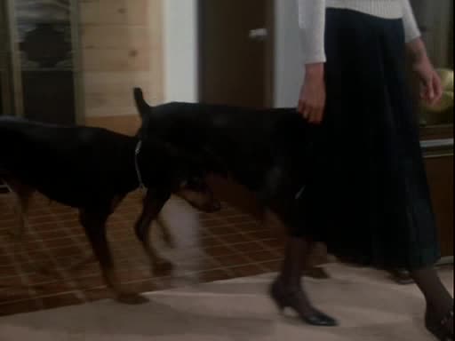 Stay. - Bobby?- Megan, darling! - Remington Steele | Clip.Cafe