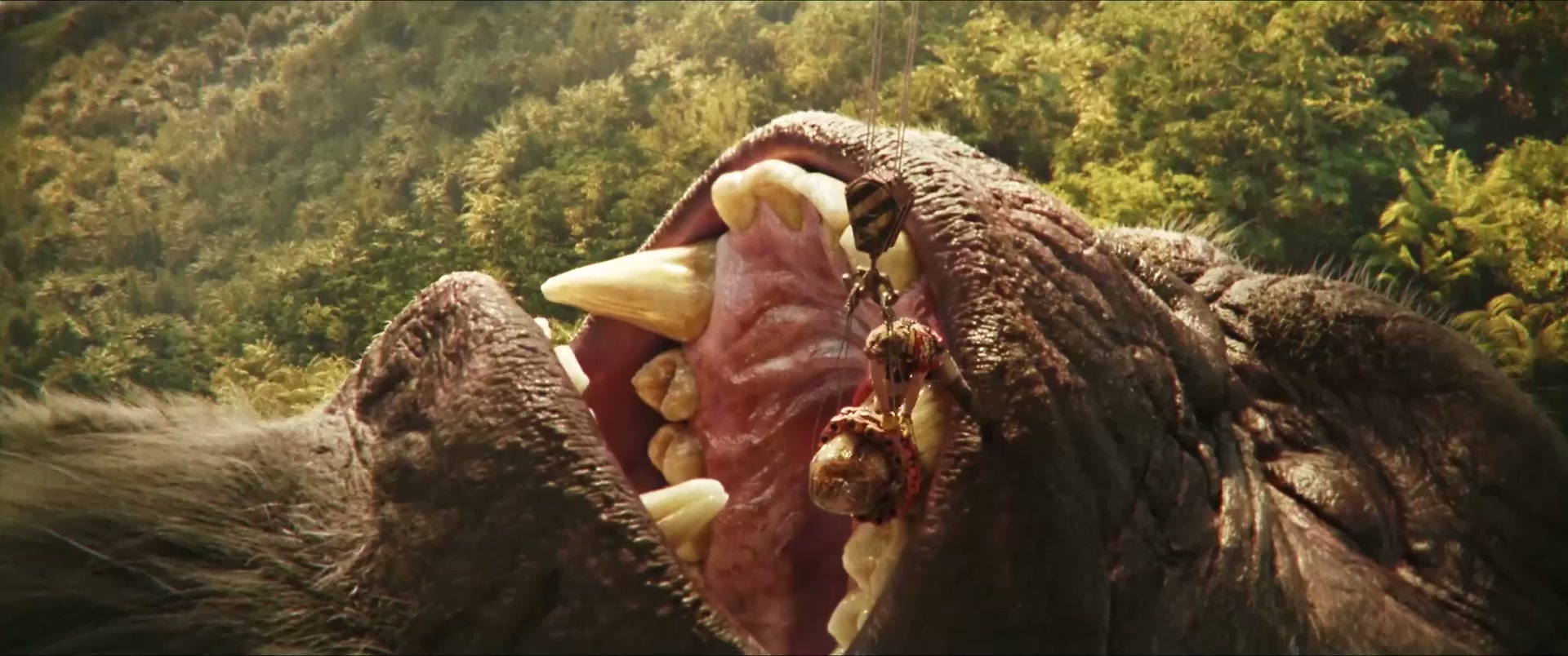 Whoa. Fella. - Godzilla x Kong: The New Empire | Clip.Cafe