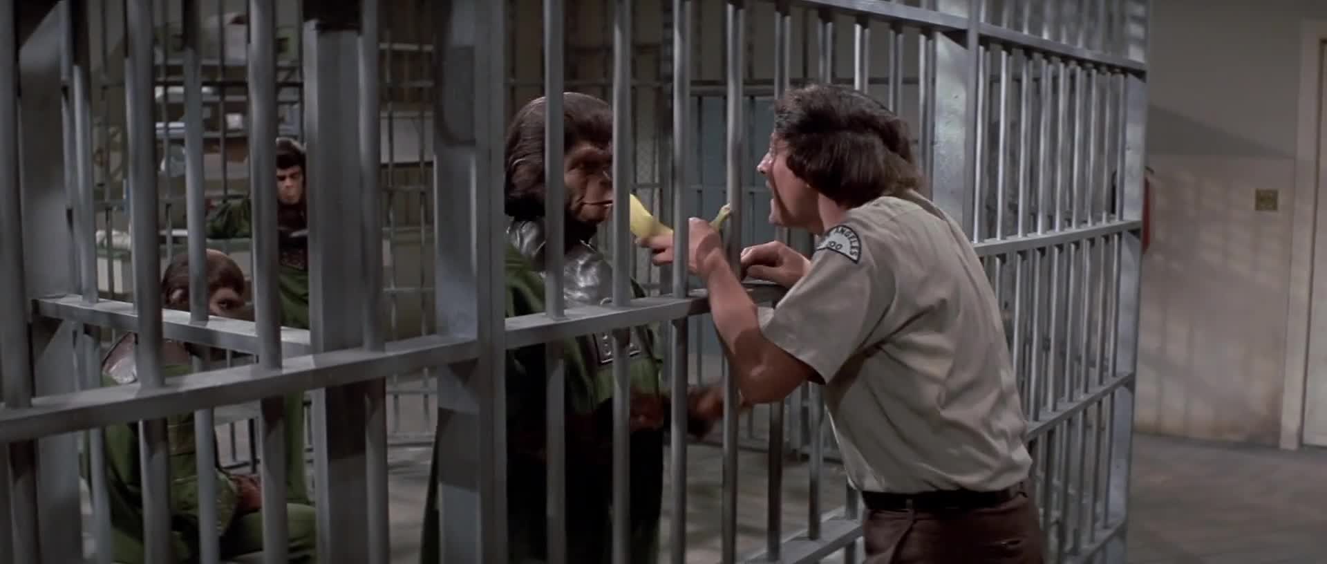Hello, missy.Have a banana. Have it your own way, mate. - Escape from ...