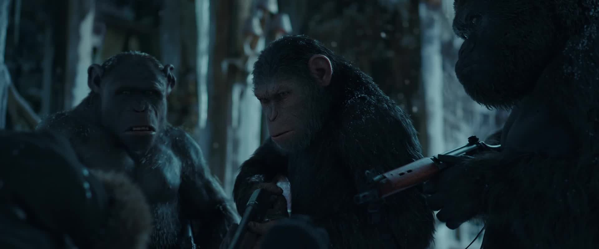 She is one of us. - War for the Planet of the Apes | Clip.Cafe