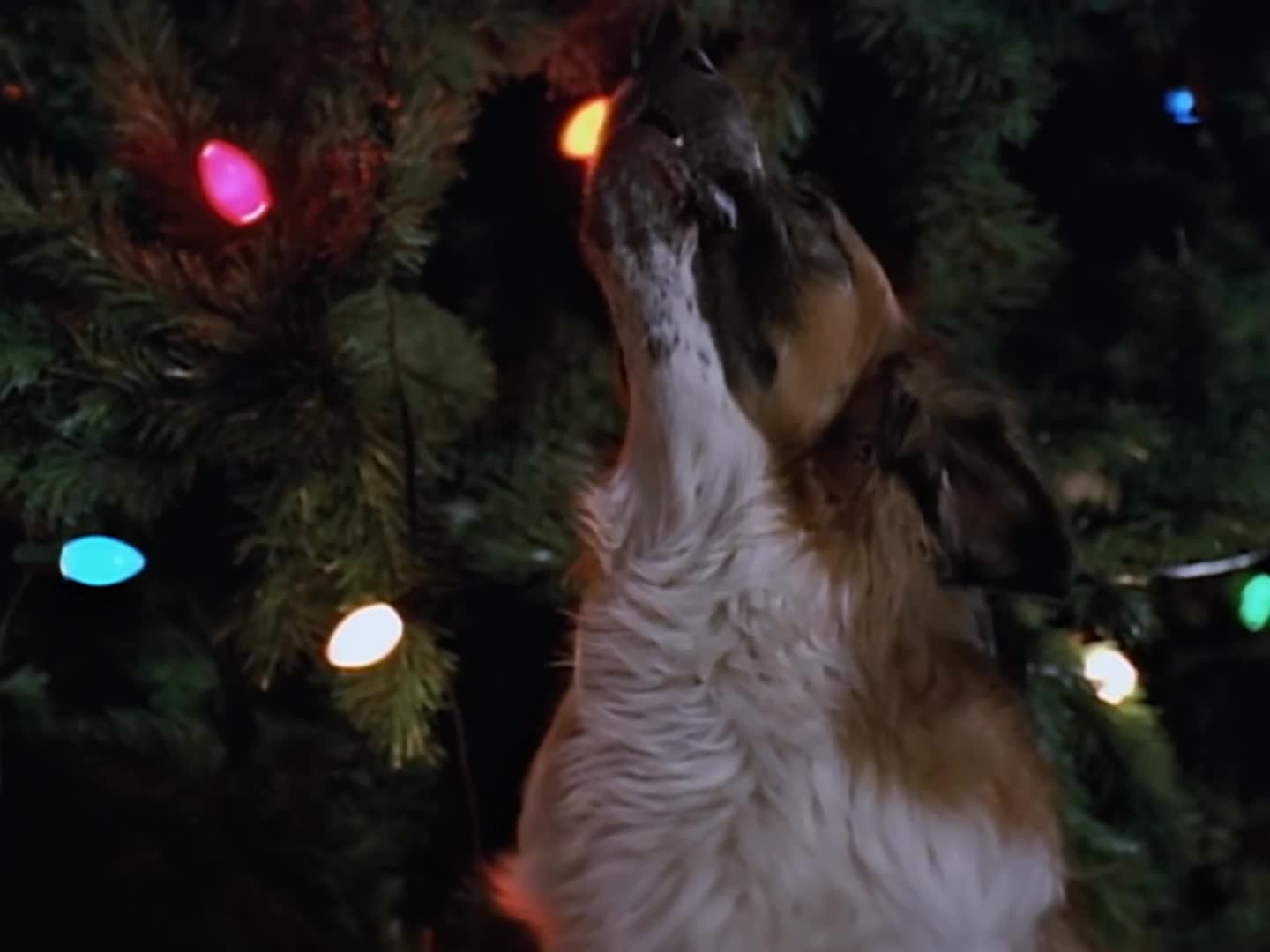 "Hey! - Hey!- Oh, my. What's...? - What did you do to...?- What? Hey ...