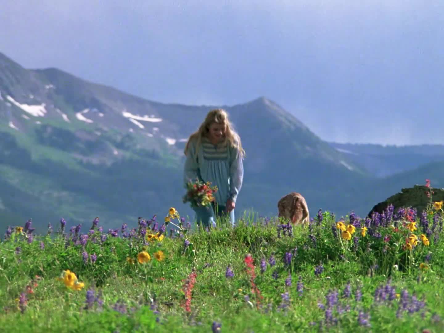 Hi, Daisy. How you doing? Isn't this a beautiful placeto be, Daisy ...