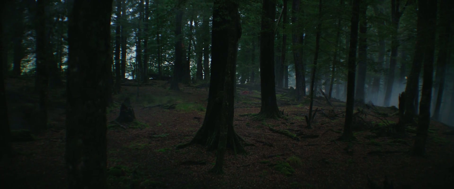 (Howl echoing) (Howling fades) - Wolf Man | Clip.Cafe