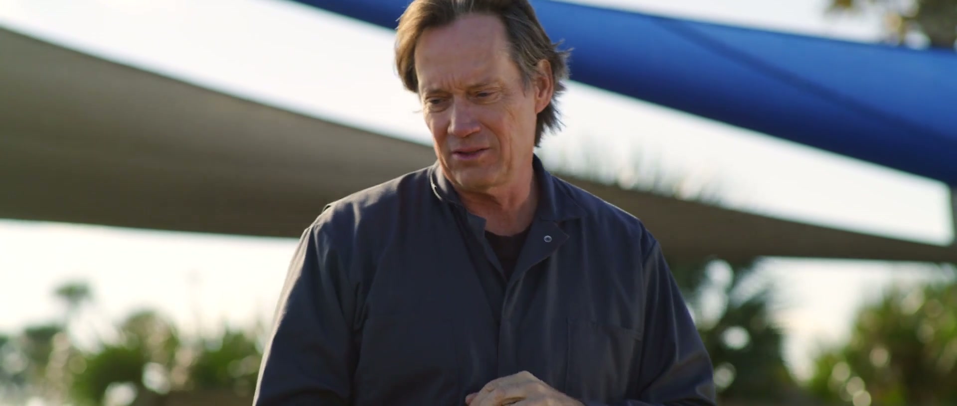 "Huh. Sounds pretty high-tech.How does it work?" - Bernie the Dolphin 2 ...