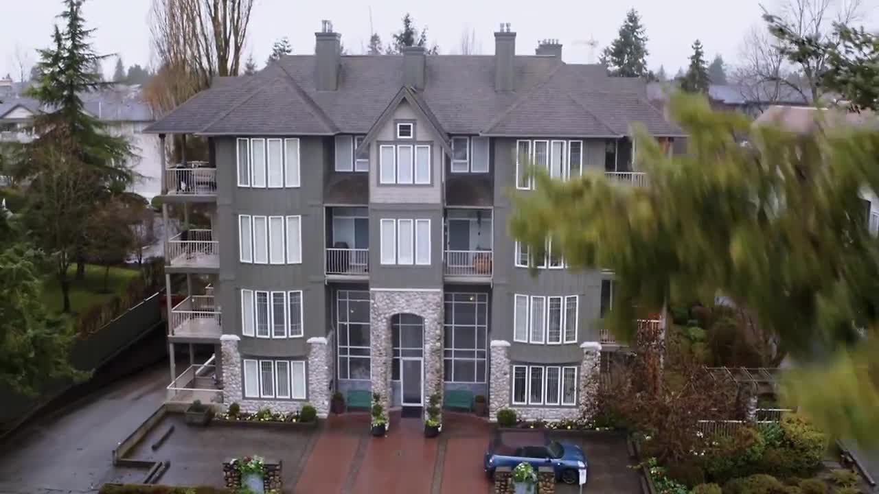 Ah! Home sweet home. - Cats & Dogs 3: Paws Unite | Clip.Cafe