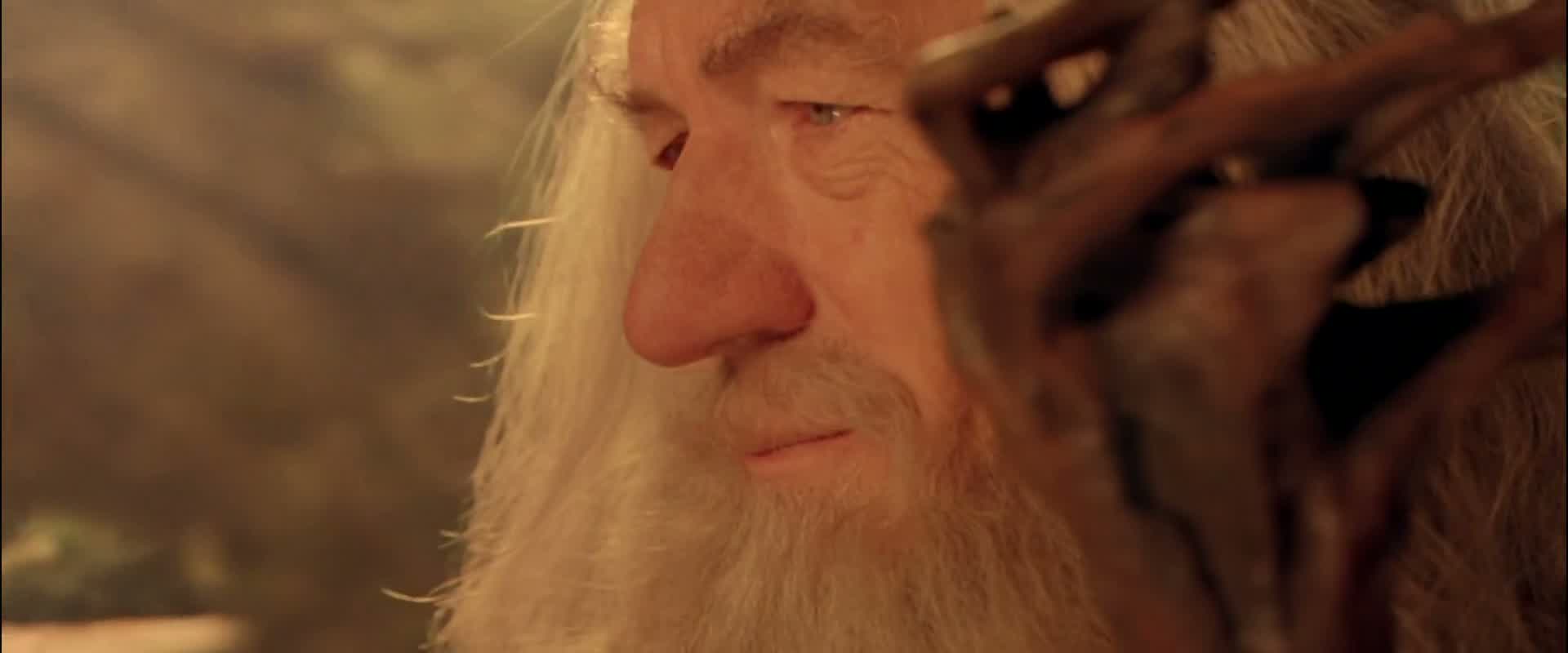 I will take the Ring to Mordor. - The Lord of the Rings: The Fellowship ...