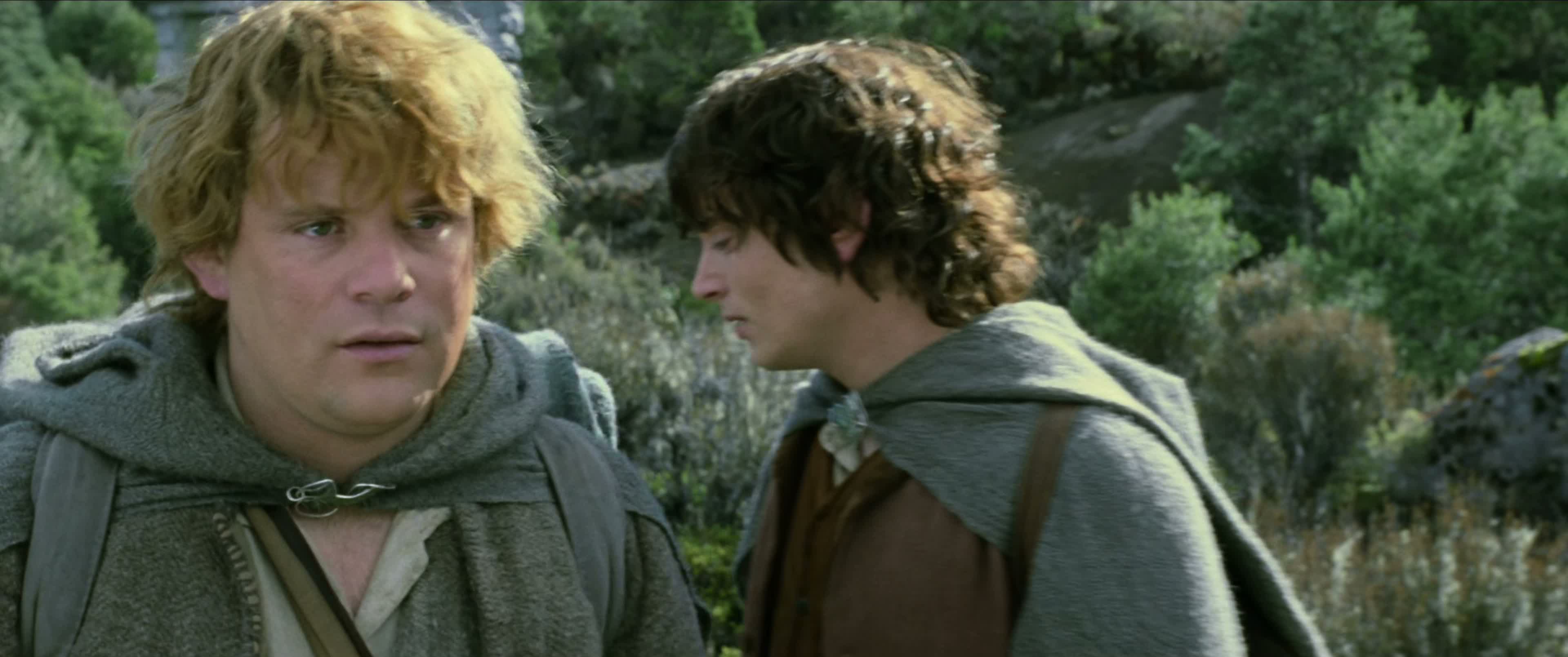 I'm sorry, Sam. I don'tknow why I said that. - The Lord of the Rings ...