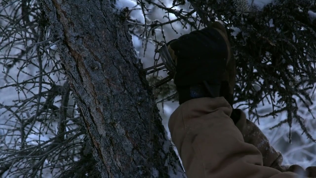 It almost single handedlydeveloped Alaska and made Alaska what it is ...