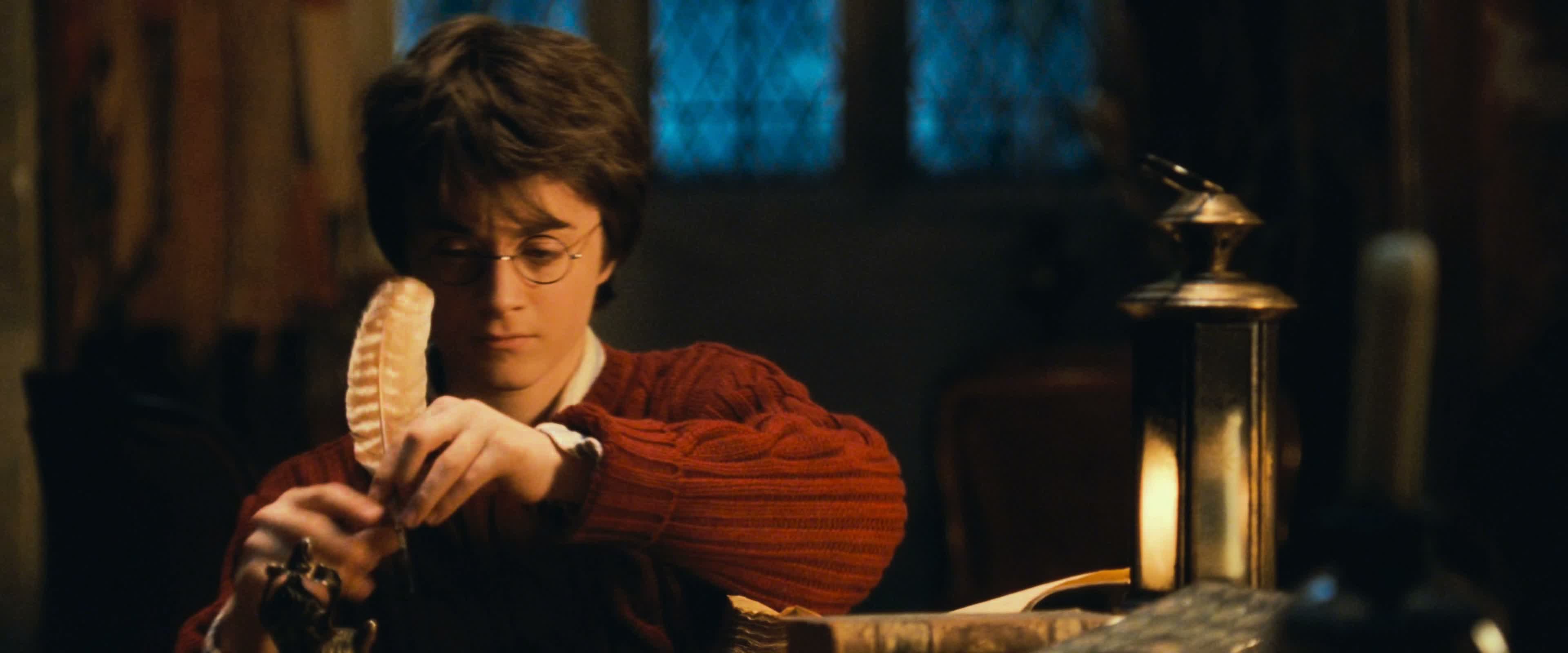 It wasn't him.Aragog never killed no one. Never. - Harry Potter and the ...