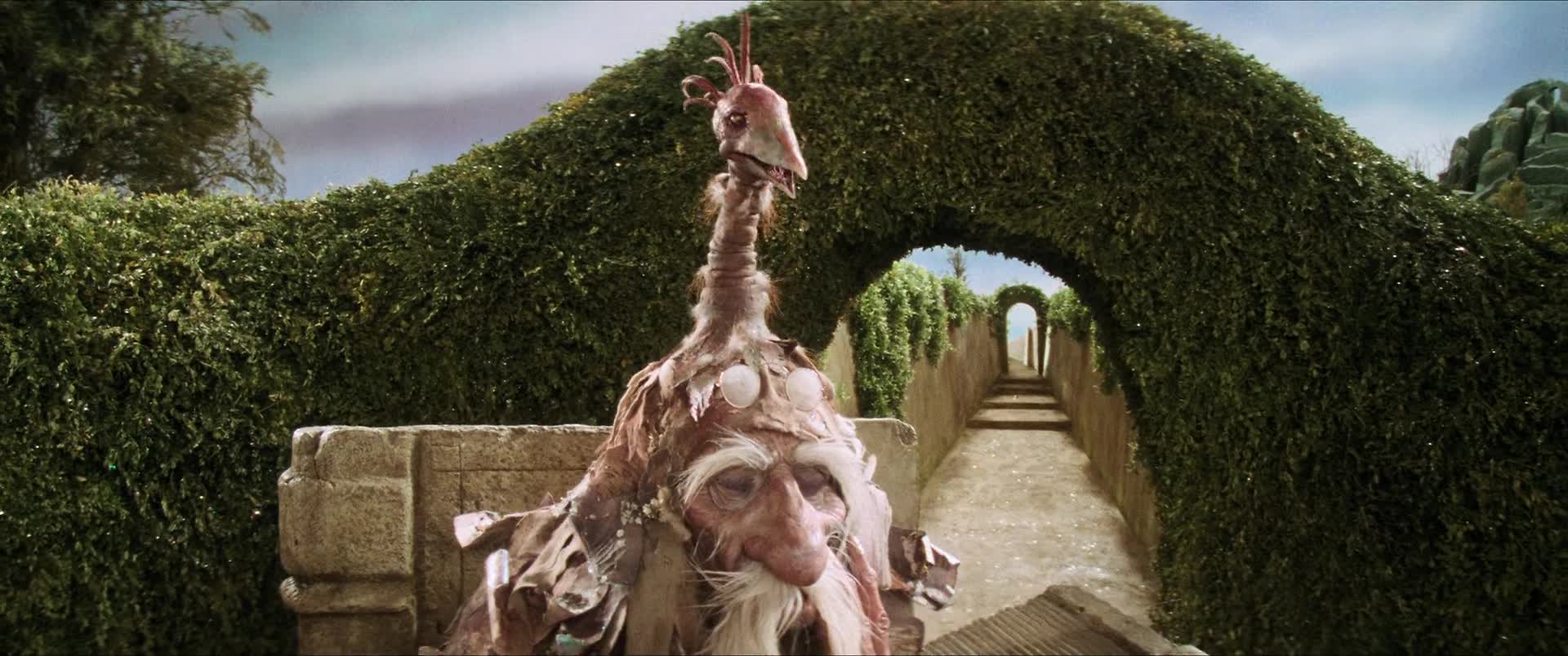 It's so stimulating being your hat. - Labyrinth | Clip.Cafe