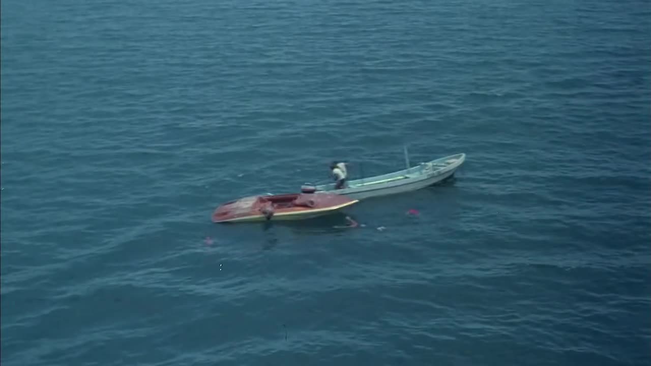 John, John, are you all right? Quicker, come on, let's go! - Day of the ...
