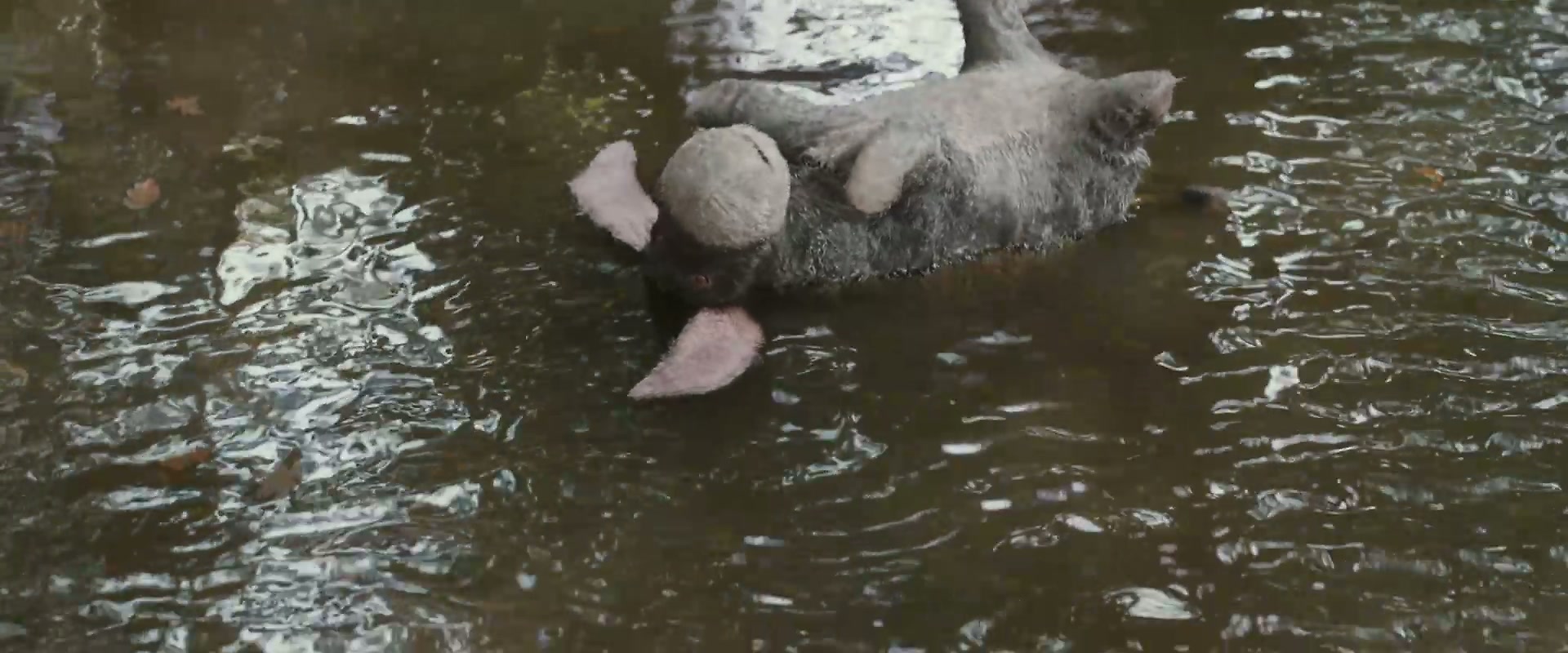 Just have to go with the...Ow. Flow. - Christopher Robin | Clip.Cafe