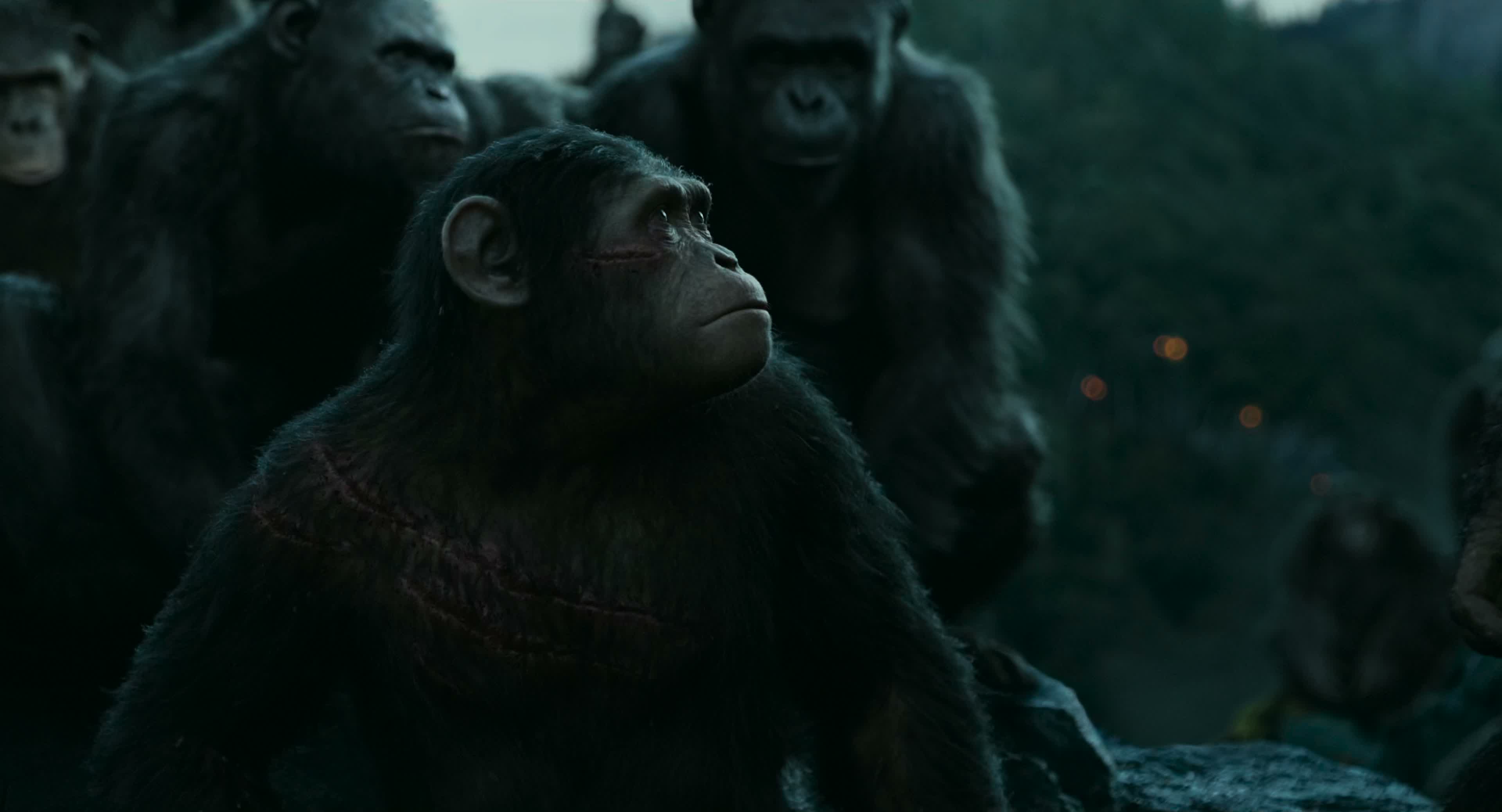 Koba say... Apes should hate humans... Enough! From humans Koba learned ...