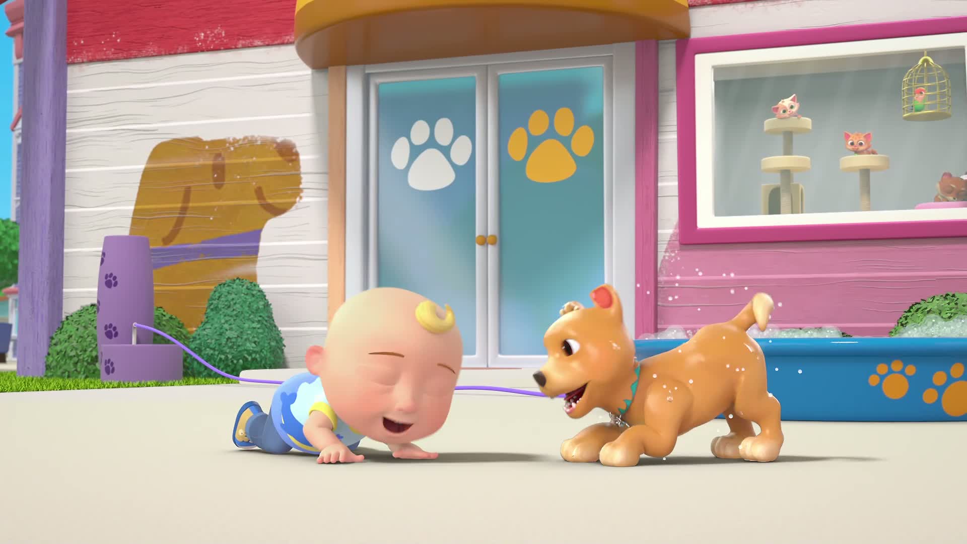 Let's shake, shake, shakeThe puppy shake ♪ ♪ Do the shake, shake ...