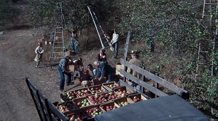 Look at the size of that. Mr. Pickett, here they are. How about the ...