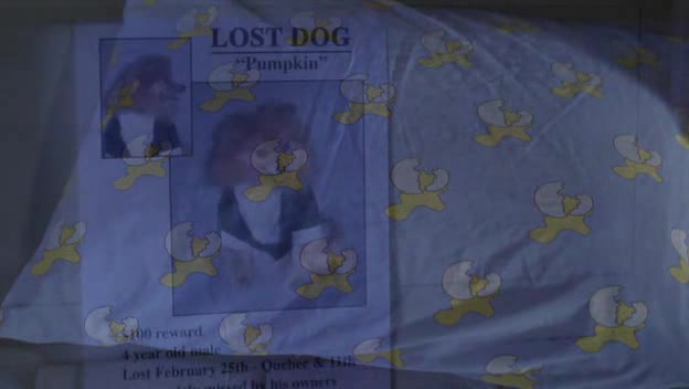 LOST DOG - Masters of Horror | Clip.Cafe