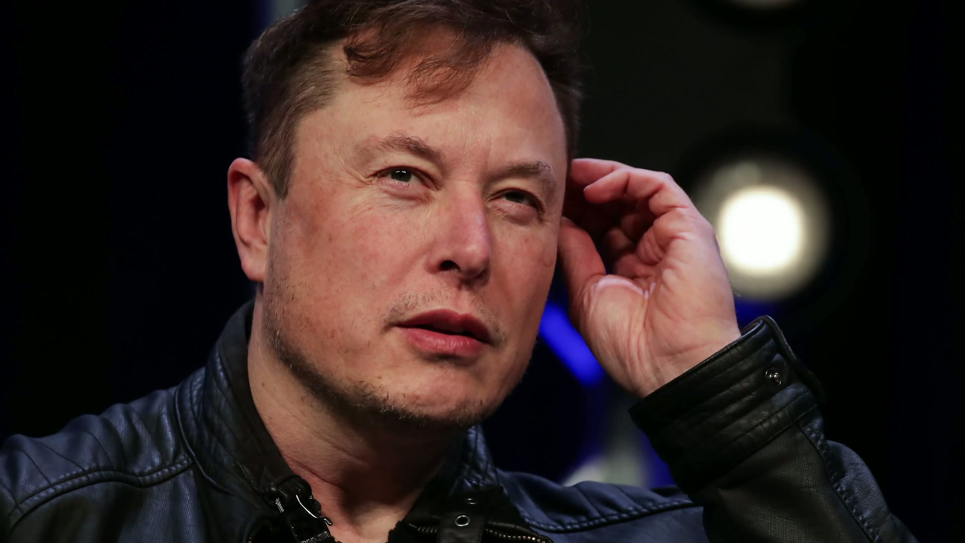 The god, the king,the mememaster himself, Elon Musk has ...