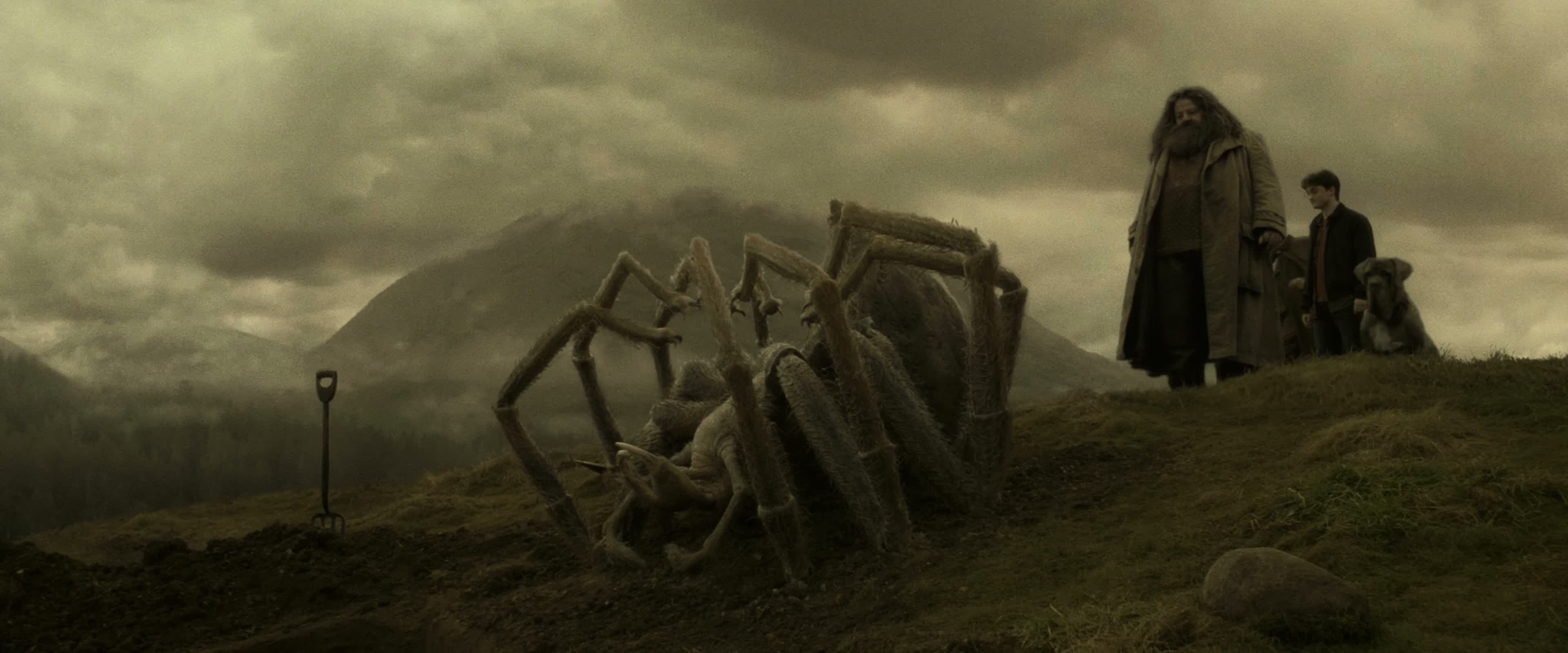 Merlin's beard.Is that an actual Acromantula? - Harry Potter and the ...