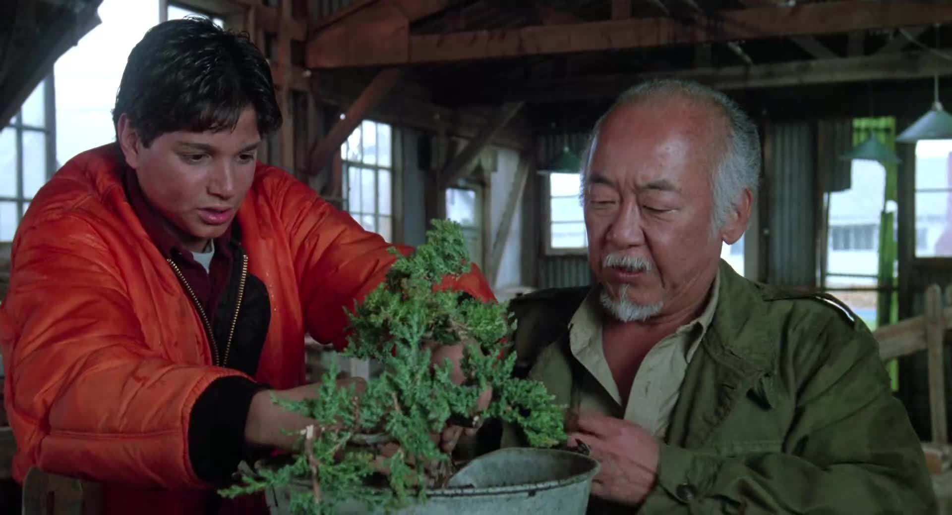 Mr. Miyagi? Will it be okay? Depend. If root strong, tree survive ...